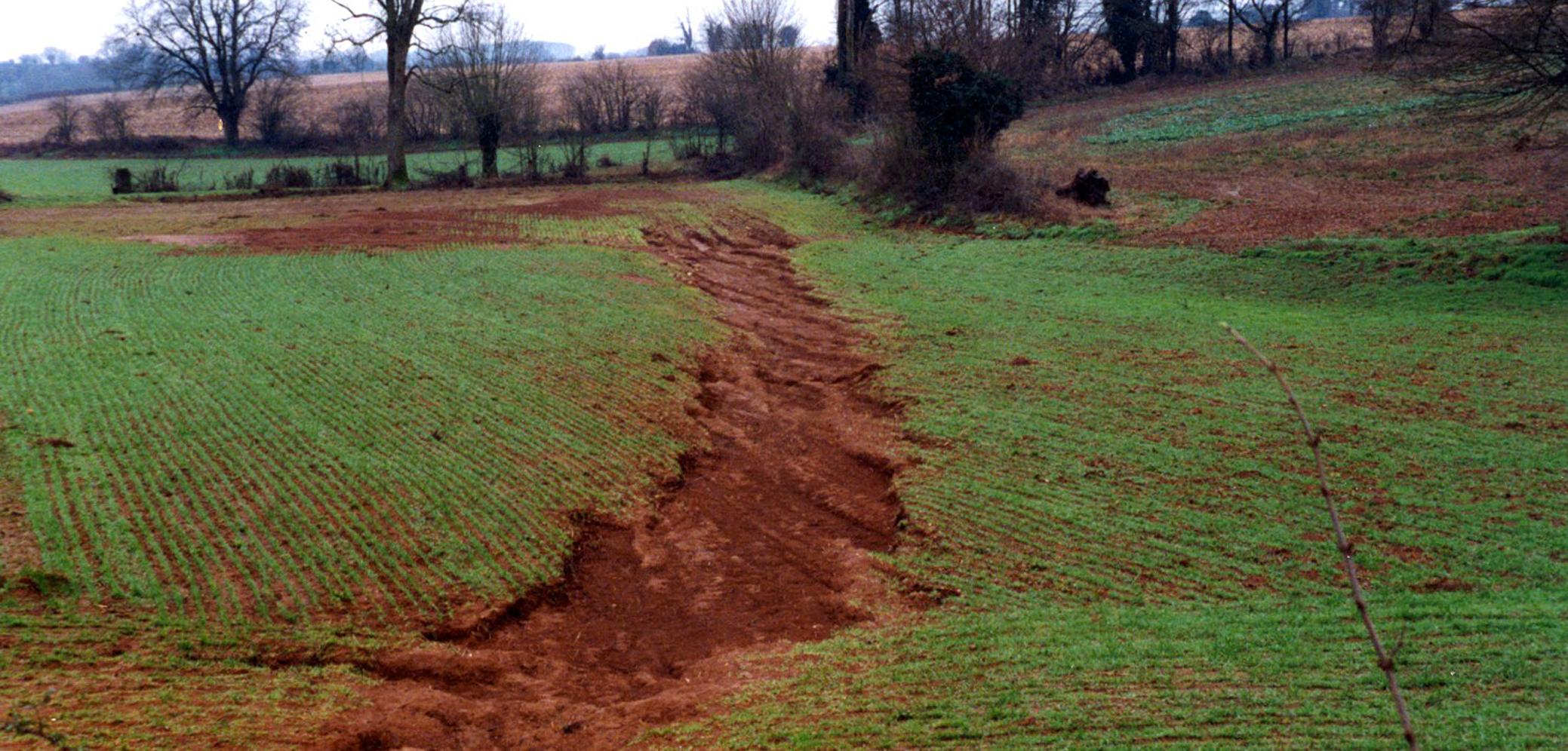 Les impacts de l’érosion | Eaufrance