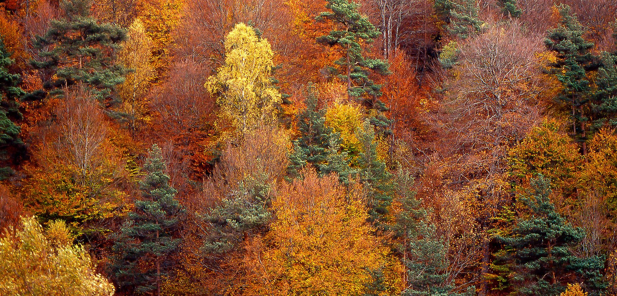 Le changement climatique | Eaufrance